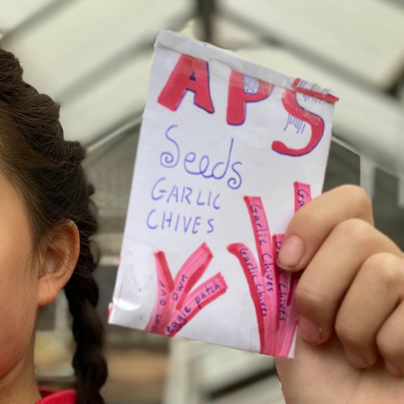 Aspendale Primary School Garden Club | Garden Crown | Buy Seedlings ...