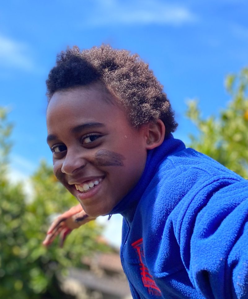 Garden Crown Aspendale | Tiny Forest Indigenous Reforestation