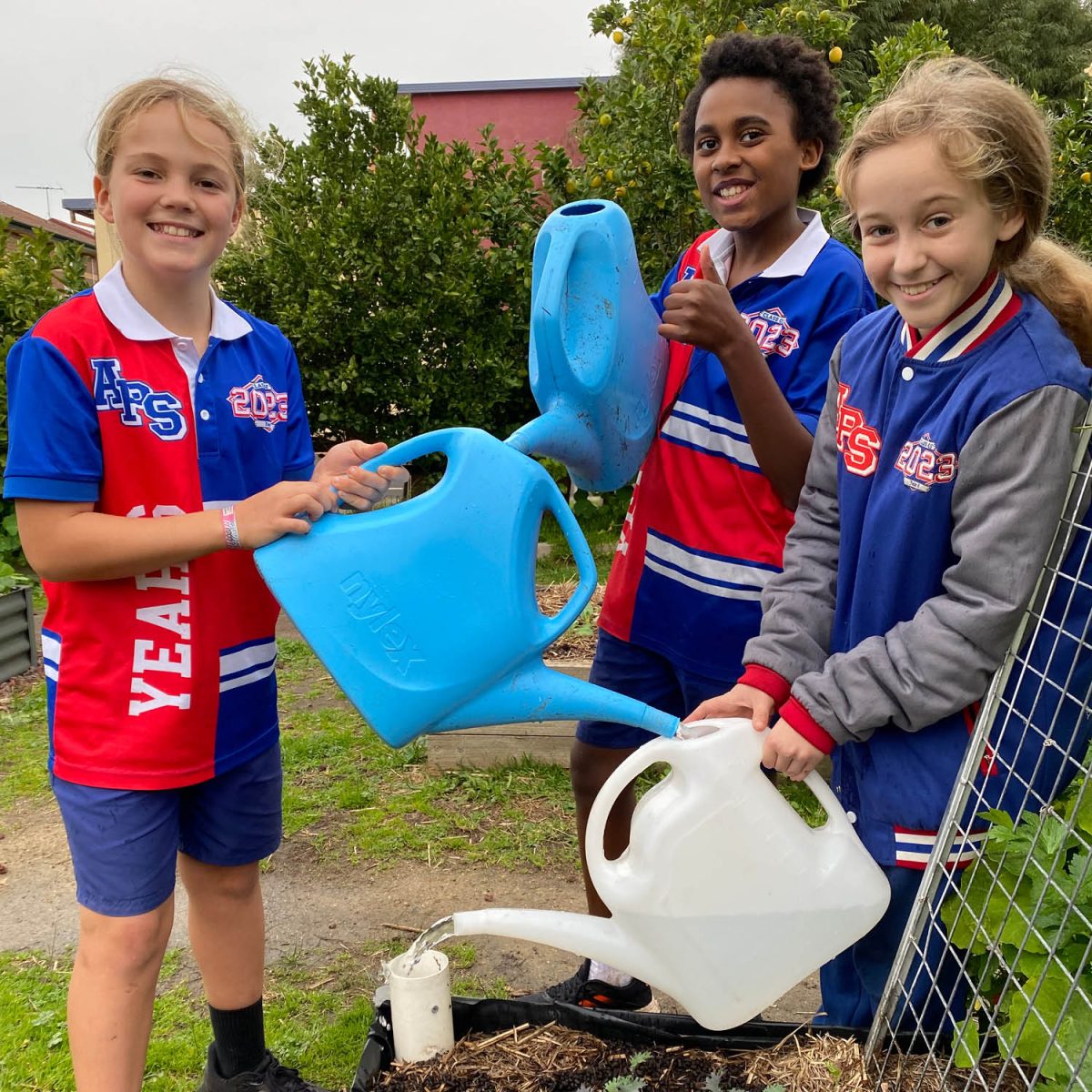 Aspendale Primary School Garden Club | Garden Crown | Buy Seedlings ...