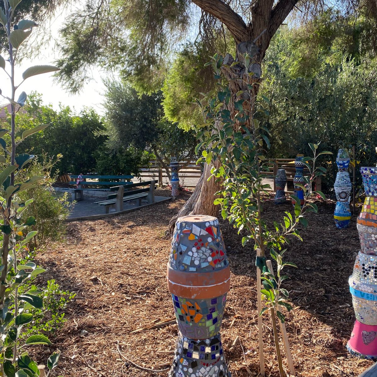 Aspendale Primary School Garden Club | Garden Crown | Buy Seedlings ...