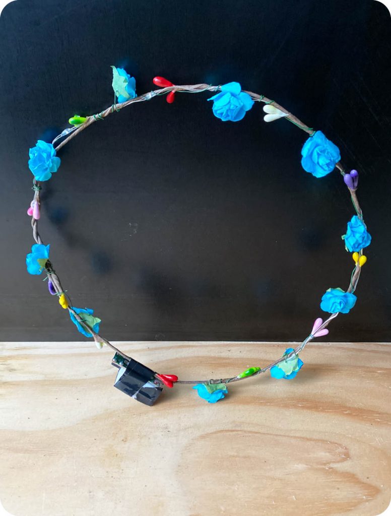 Buy Seedlings Online Melbourne | Click and Collect Seedlings