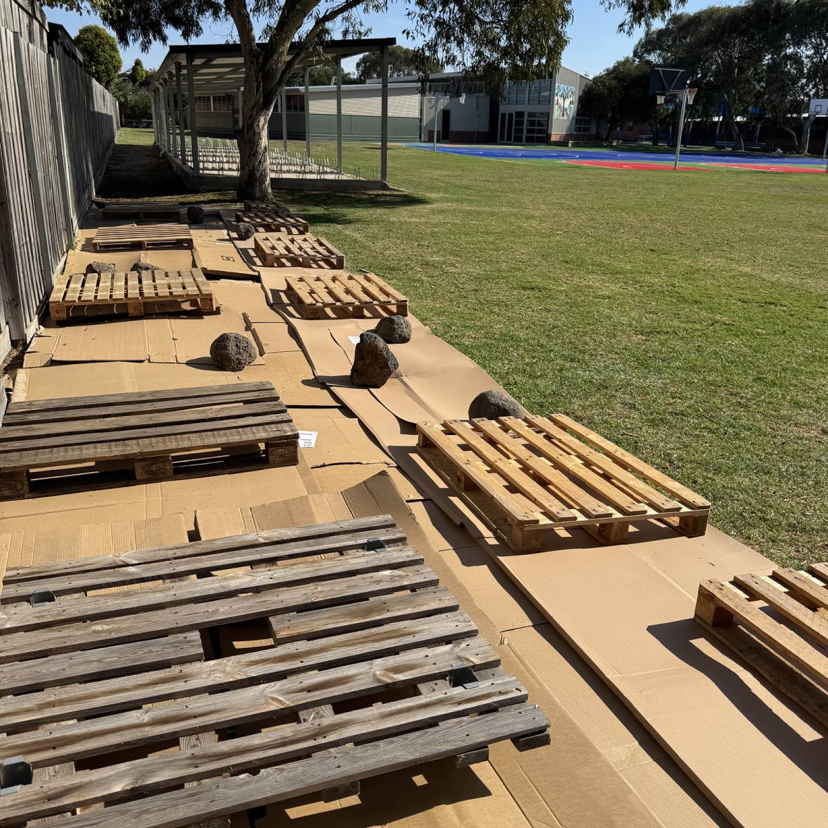 Aspendale Primary School Tiny Forest | Garden Crown | Buy Seedlings ...